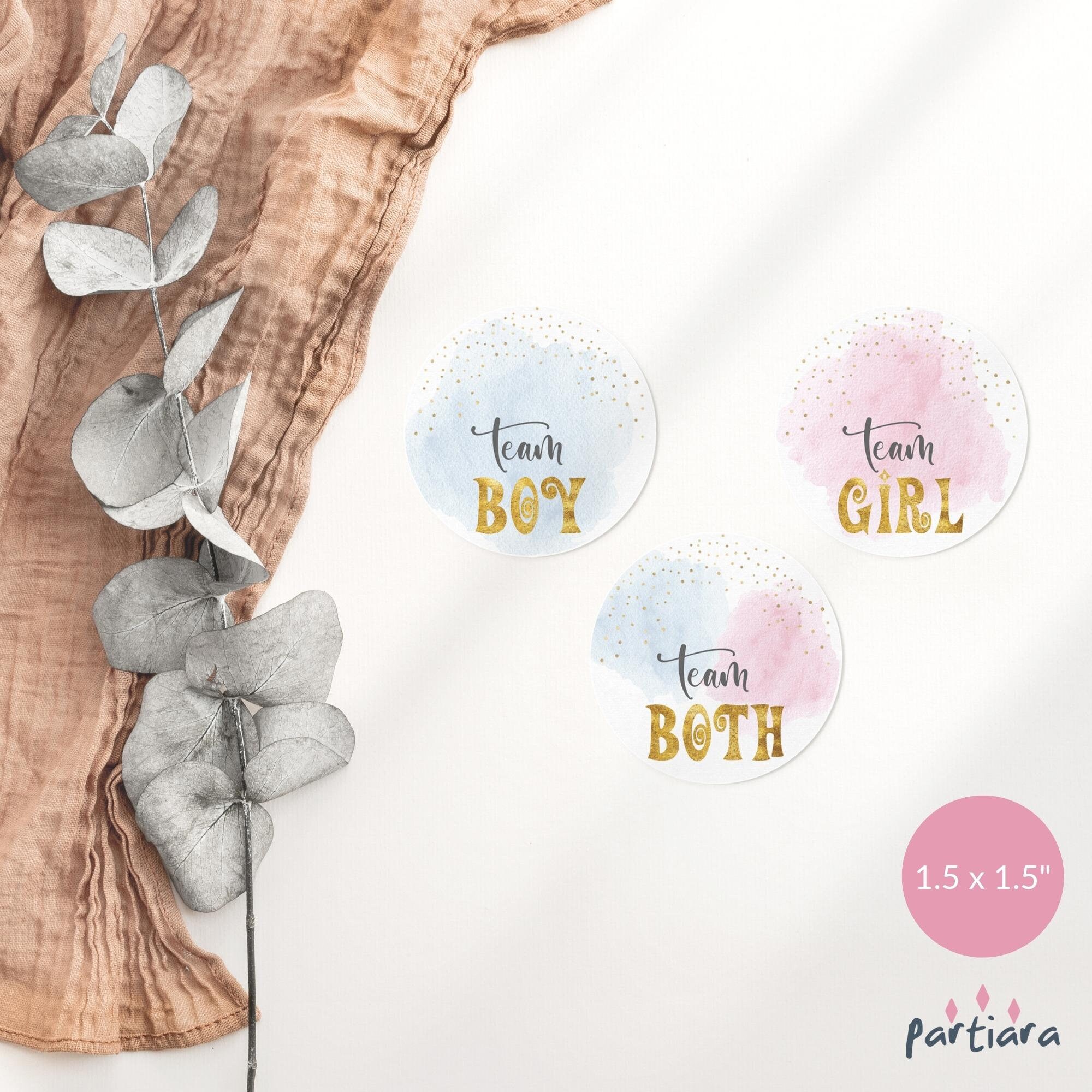 Gender Reveal Boy Girl Team Stickers Voting Game Printable He - Etsy