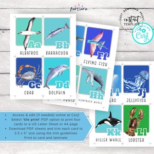 Ocean Themed Flash Cards, Animals, Objects,alphabet A to Z and Colors ...
