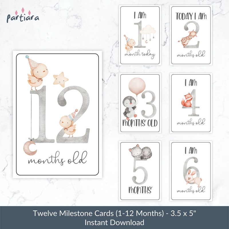 Milestone Cards - Etsy