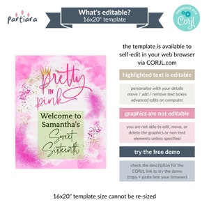 Pretty in Pink Welcome Sign Template, Princess Birthday Party Welcome ...