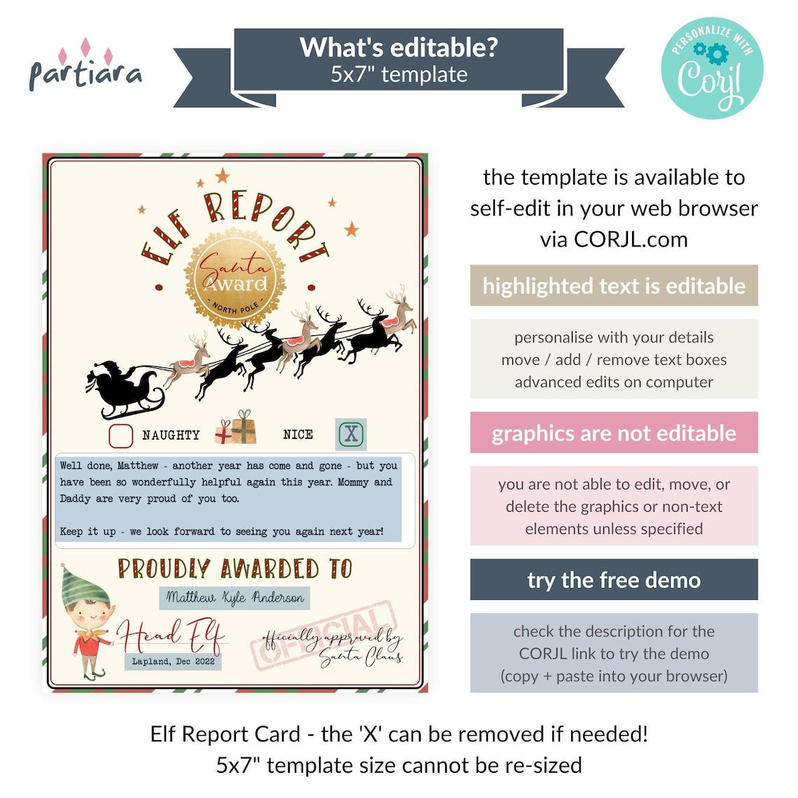 Editable Elf Report Activity Boy Girl Christmas Eve Elves - Etsy