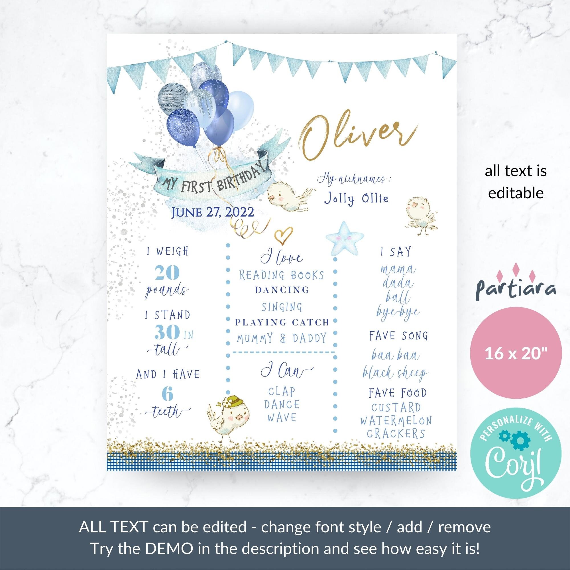 1st Birthday Milestone Chart Printable Boy Pastel Blue Silver - Etsy