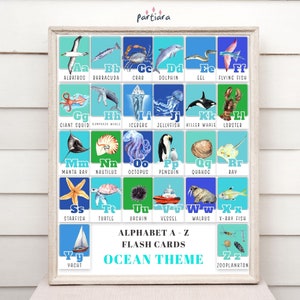 Ocean Themed Flash Cards, Animals, Objects,alphabet A to Z and Colors ...