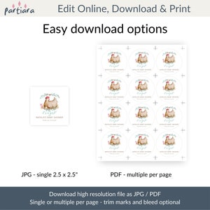 Hen Favor Tags Editable Chicken Baby Shower Favor Gift Thank - Etsy