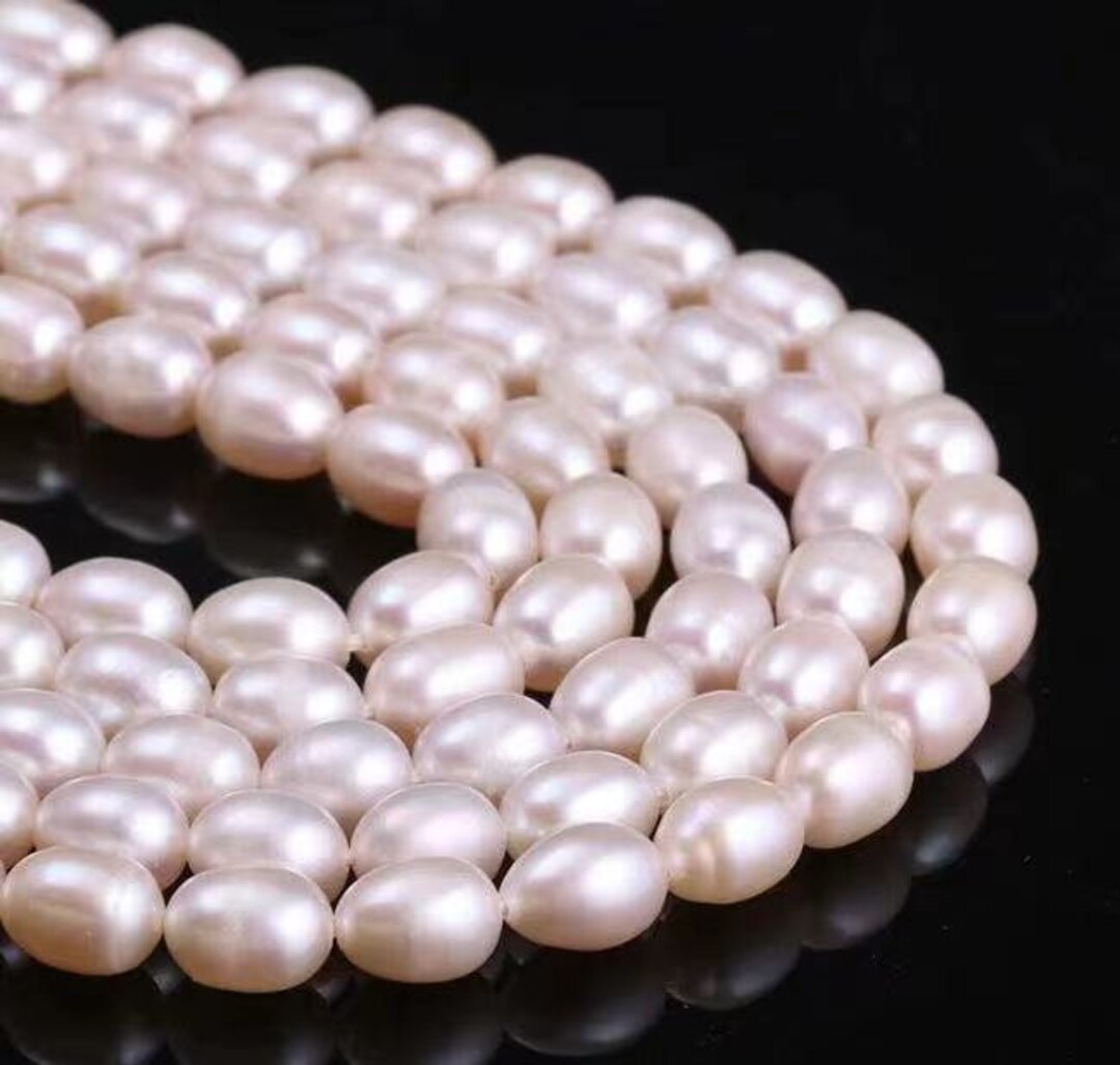Natural White Shell Beads,mop Shell Beads,shell Beads,shell Beads,15 ...