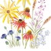 Wildflower Watercolor Digital Download - Etsy