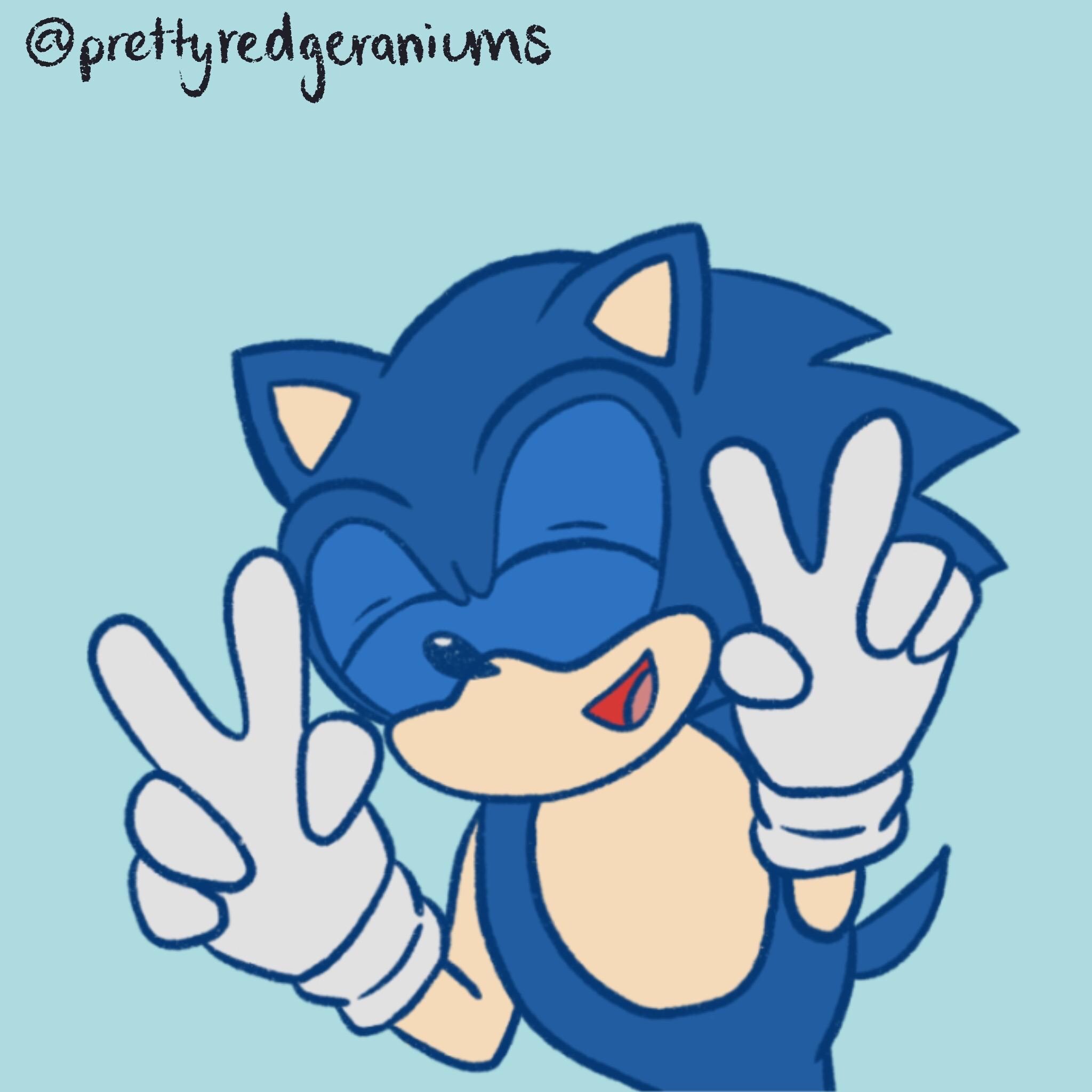 Sonic OC Commissions, Sonic Character Commissions - Etsy