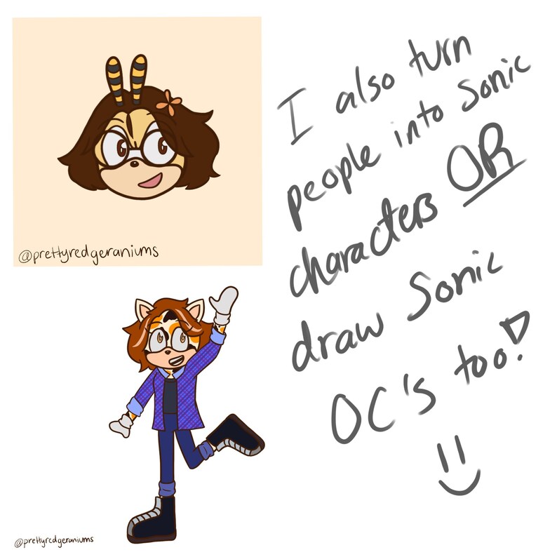 Sonic OC Commissions, Sonic Character Commissions - Etsy