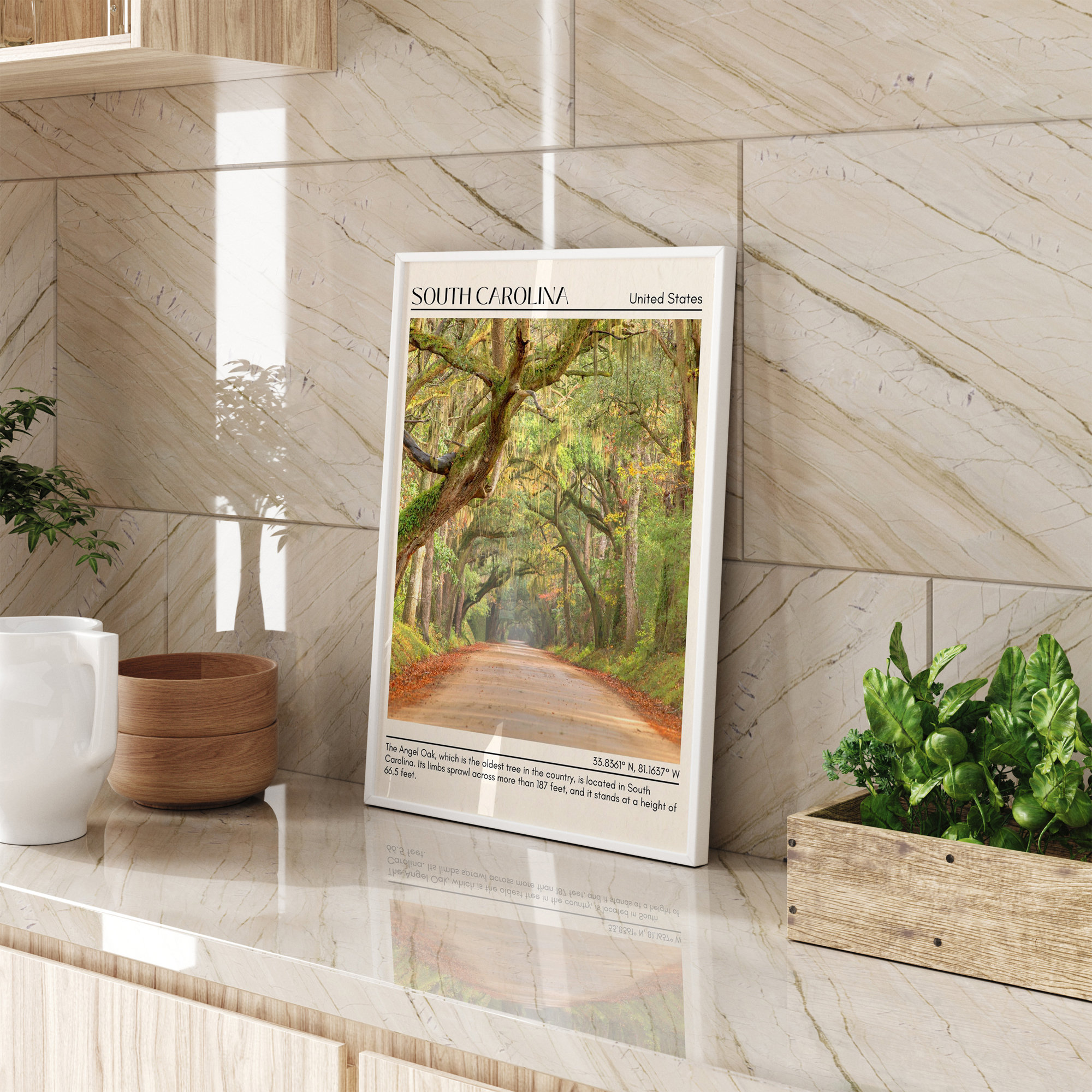 South Carolina Art, South Carolina Canvas, South Carolina Framed Poster ...