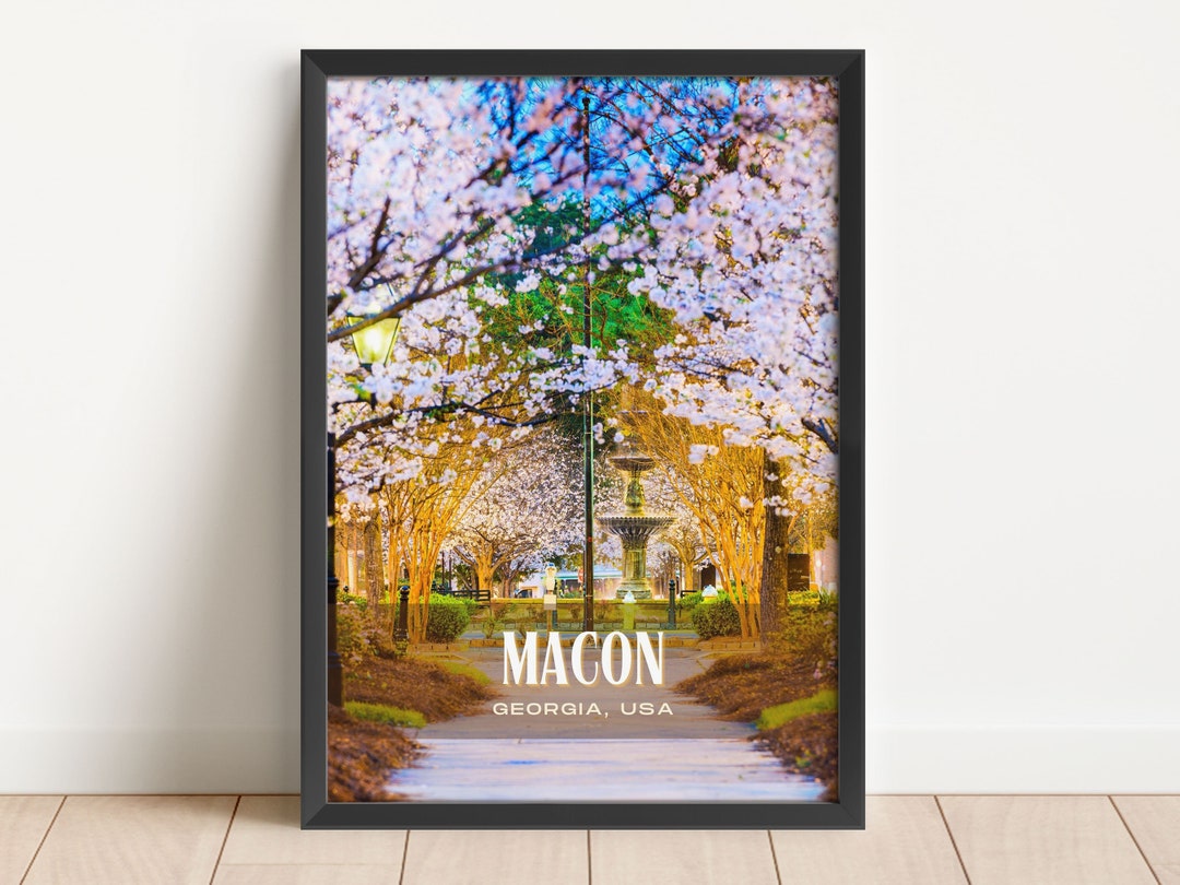Macon Retro Wall Art, Macon Canvas, Macon Framed Poster, Macon Photo ...