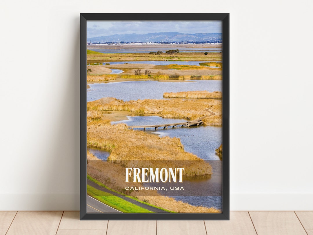 INSTANT DIGITAL DOWNLOAD, Fremont Retro Wall Art, Fremont Canvas ...