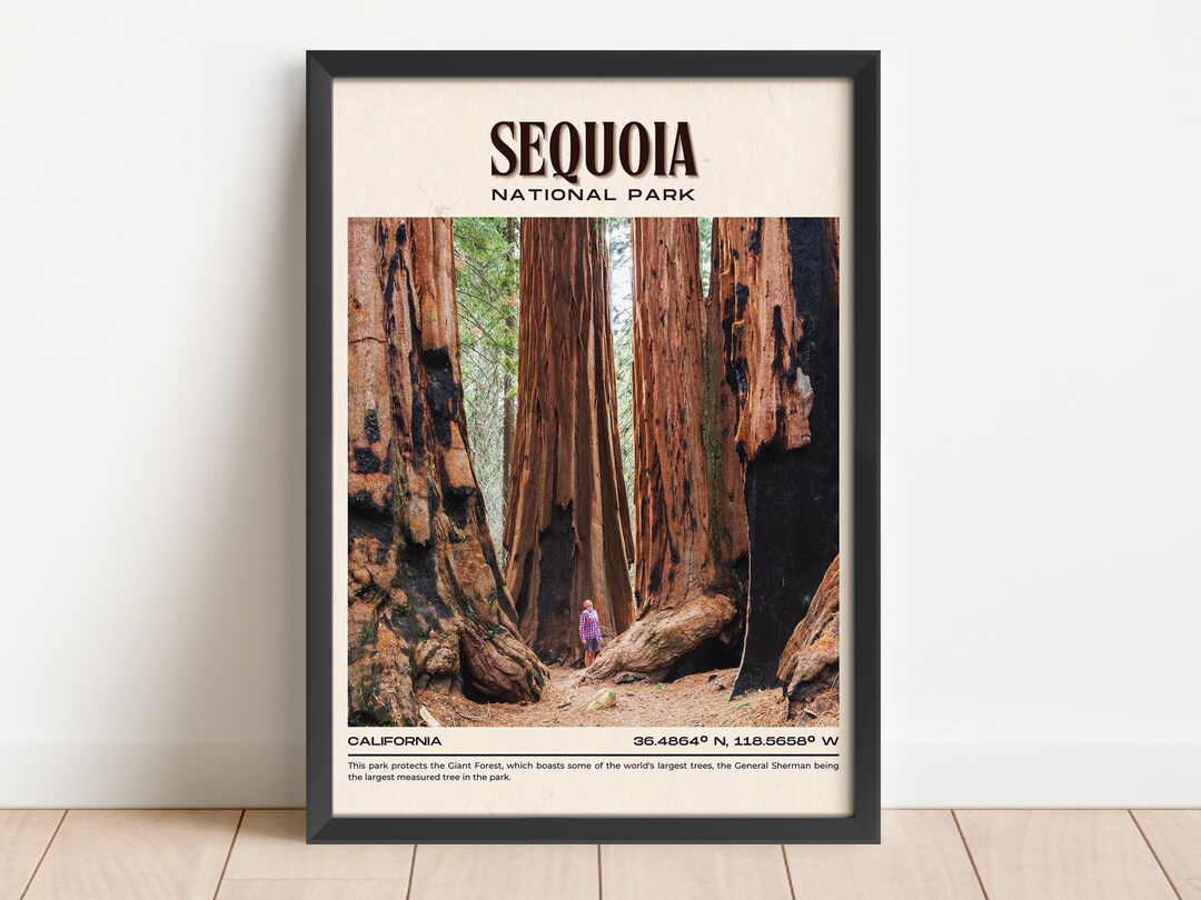 Sequoia National Park Vintage Wall Art Sequoia Canvas - Etsy