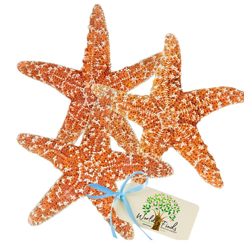 Starfish Decor - Etsy