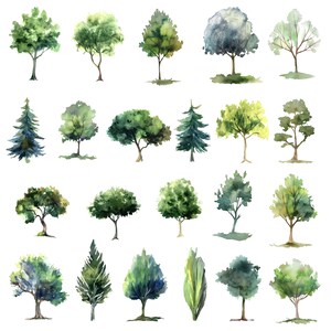 Watercolor Tree Cliparts Png - Etsy