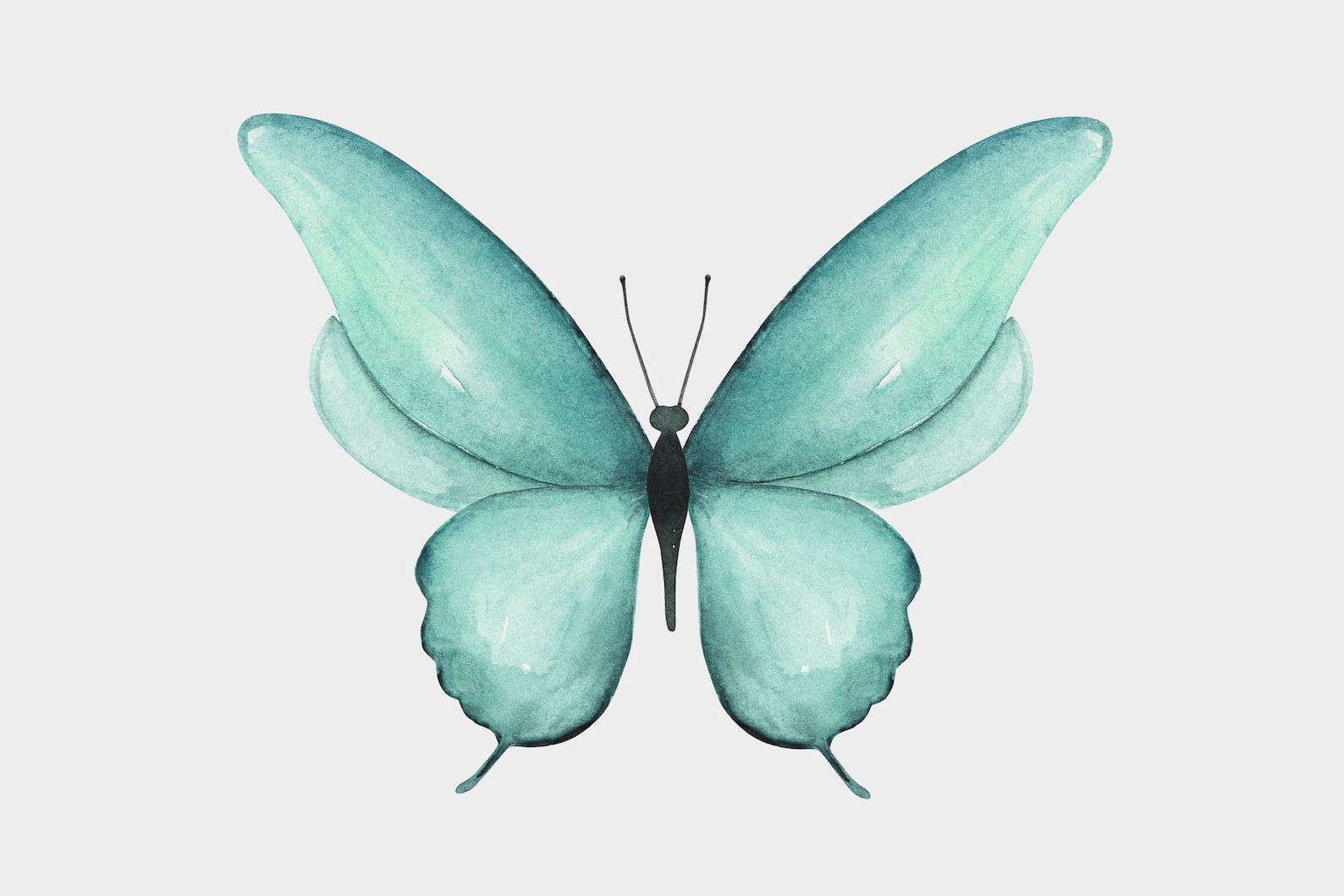 Watercolor Butterfly Clipart Hand Painted Butterflies - Etsy
