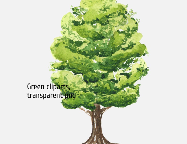 Watercolor Trees Clipart Pine Trees Clipart Bushes Clip Art | Etsy