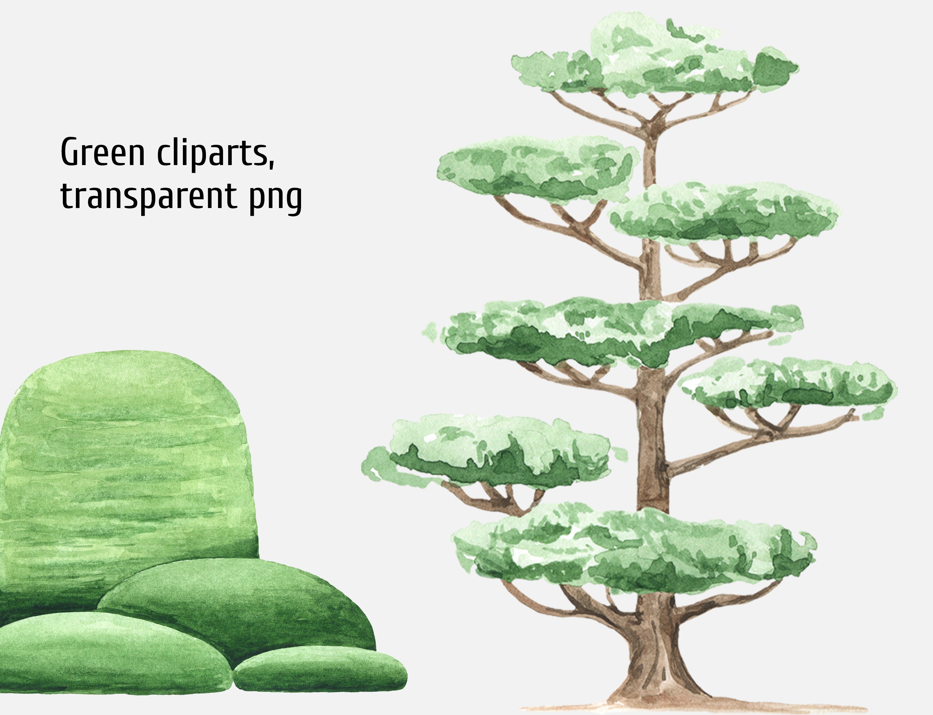 Watercolor Trees Clipart, Pine Trees Clipart, Bushes Clip Art, Oak ...