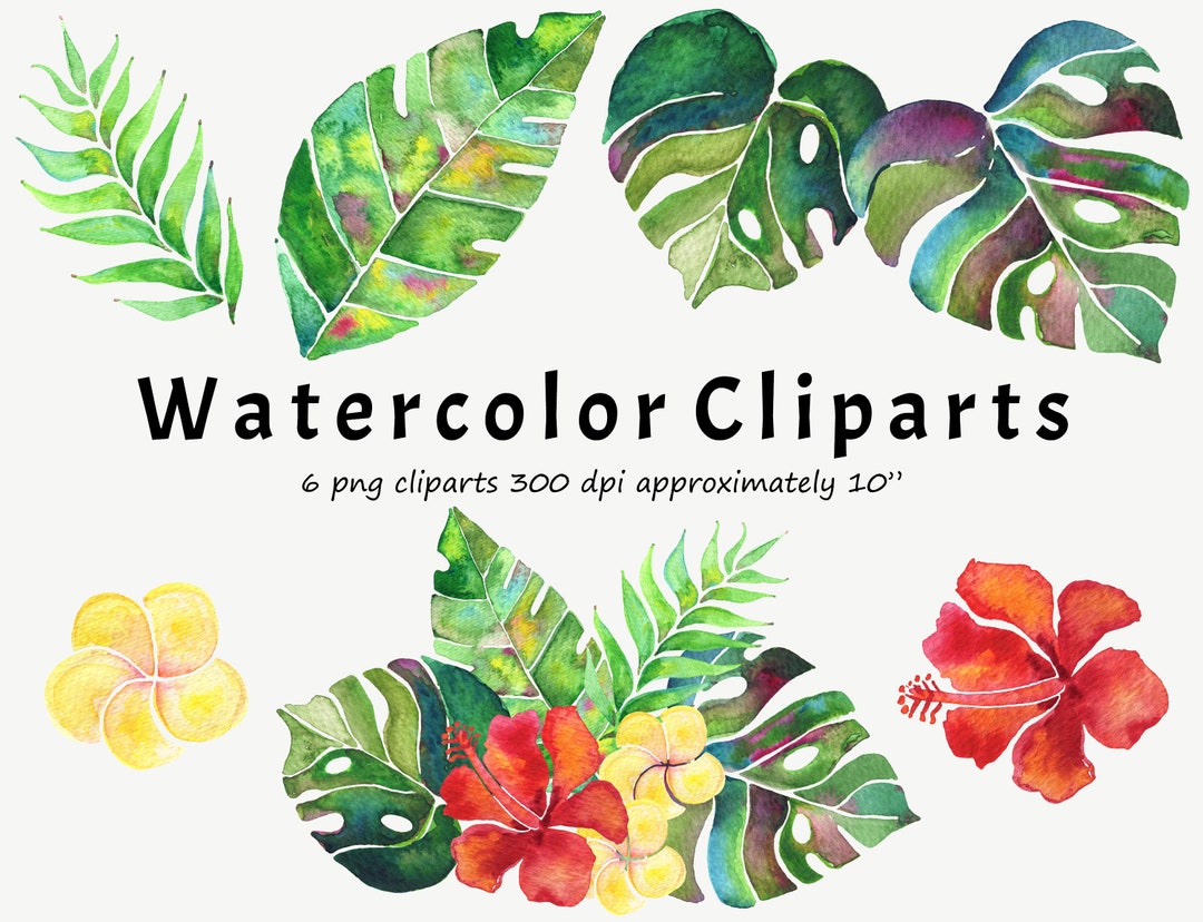 Watercolor Tropical Clipart, Summer Bright Clipart, Botanical Exotic ...