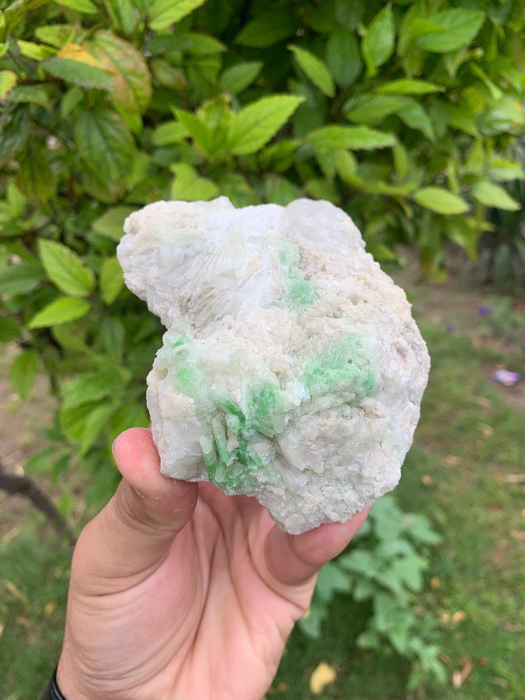 Lush Green Rare Pargasite Crystals Needles on White Feldspar Matrix ...