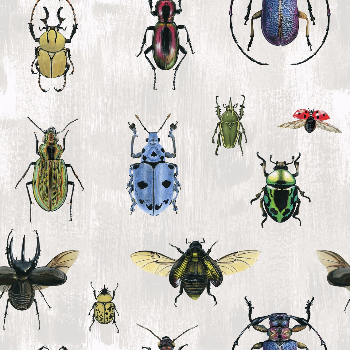 Bug WALLPAPER INSECTS Wall Art REMOVABLE Wall Paper - Etsy