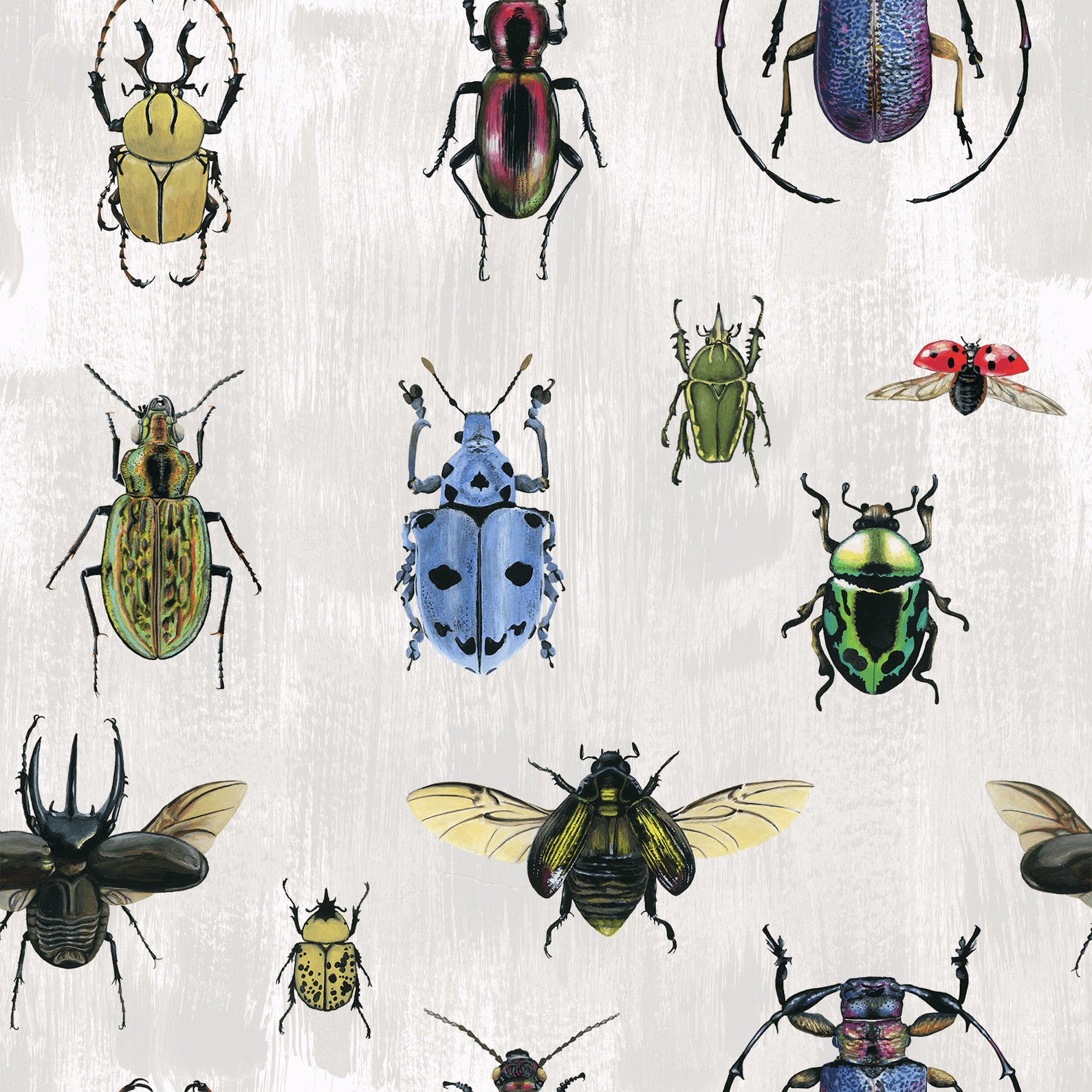 Bug WALLPAPER INSECTS Wall Art REMOVABLE Wall Paper - Etsy