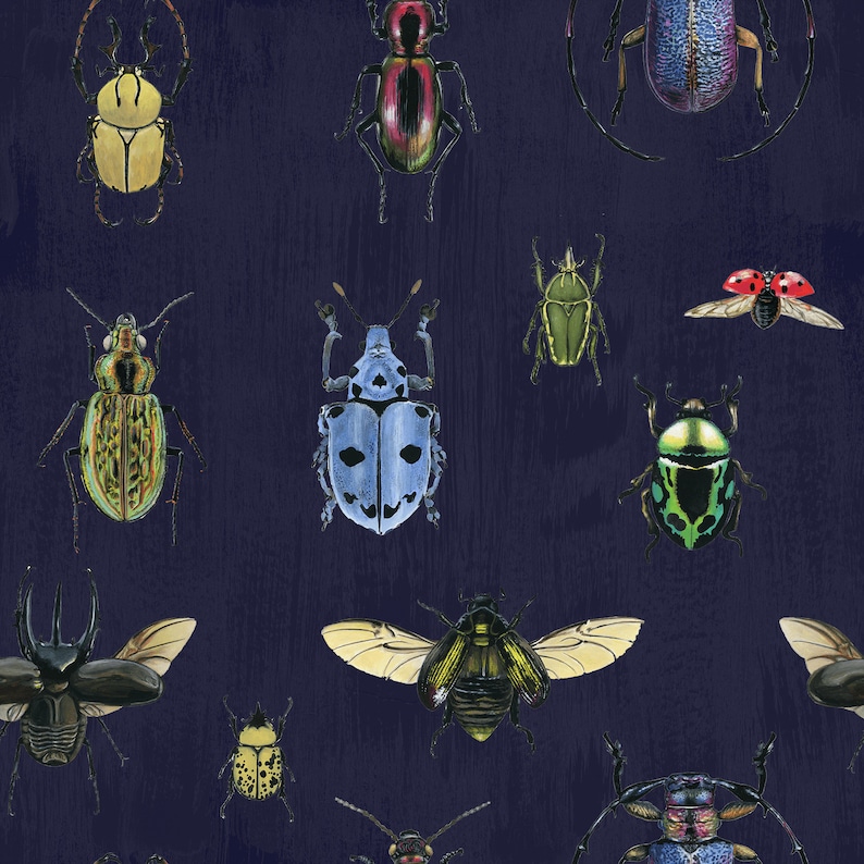 Navy Beetle Wallpaper: Eclectic Insect Mural, Removable Wallpaper - Etsy