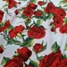 Soft Printed Rose Chiffon Fabric Print Chiffon Flowers Colors - Etsy