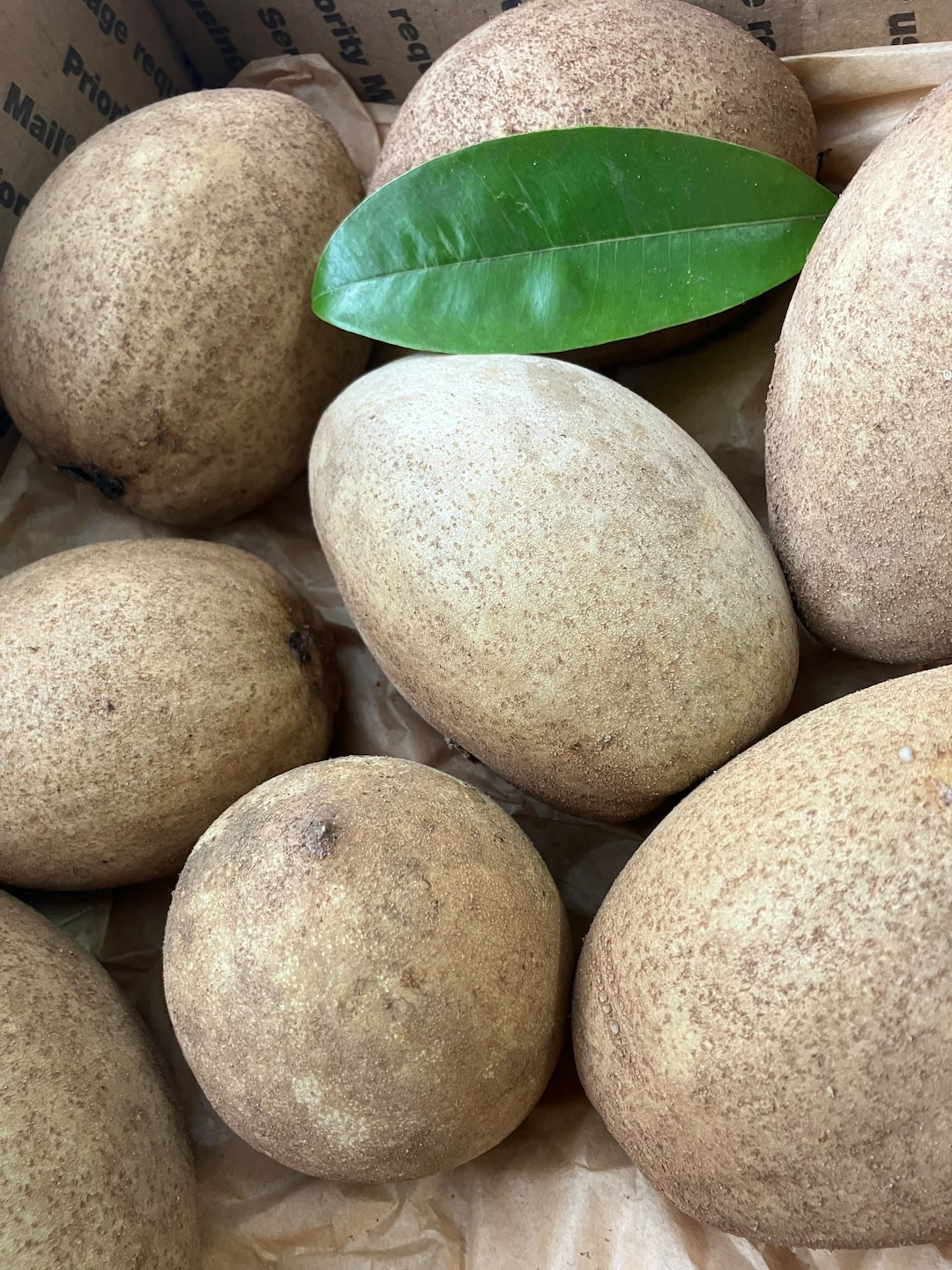 Sapodilla Fruit // Naseberry — Fresh Tropical Fruit — IN SEASON - Etsy