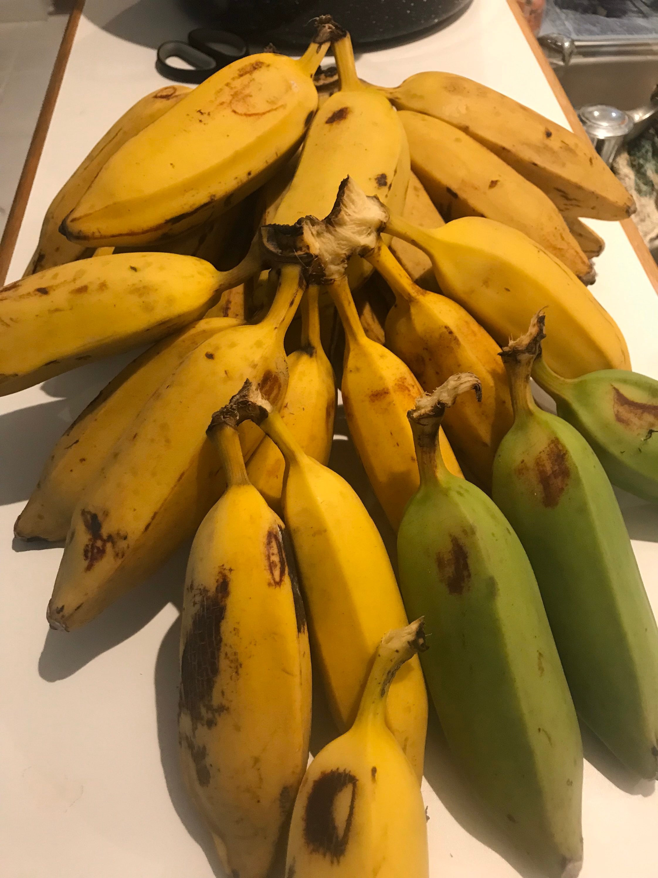 Orinoco Bananas Fresh Tropical Fruit in Season | Etsy