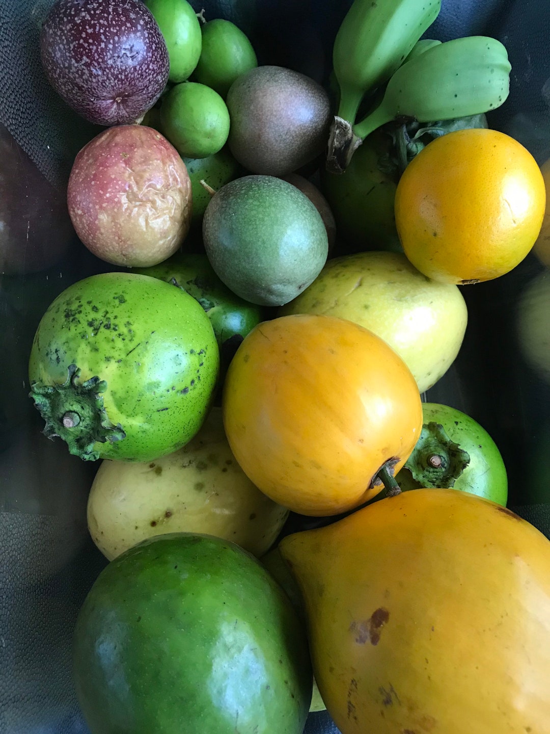 Assorted Tropical Fruit IN SEASON - Etsy