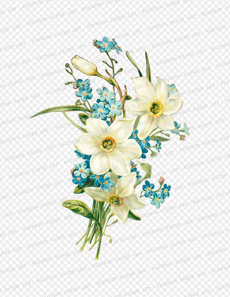Floral Clipart Set Vintage Blue Flowers PNG Digital Floral - Etsy