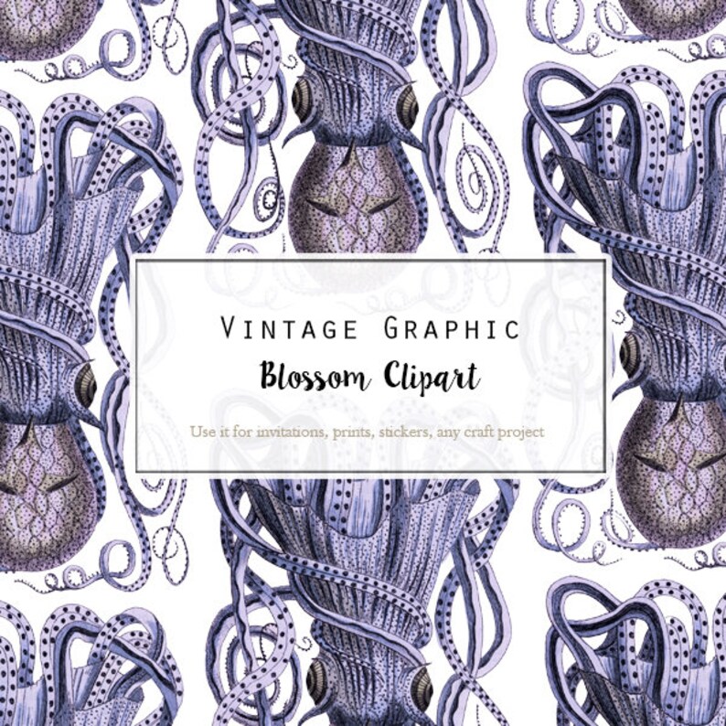 Octopus Clip Art Vintage Graphic Clipart Illustration Digital - Etsy