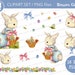 Vintage Bunny Easter Clipart Set, PNG Vintage Graphics, Vintage Easter ...