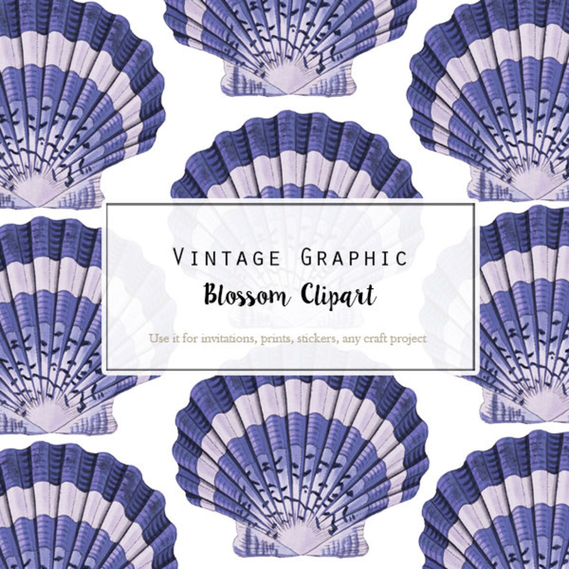 Sea Shell Clip Art Vintage Printable Sea Life Clipart for - Etsy