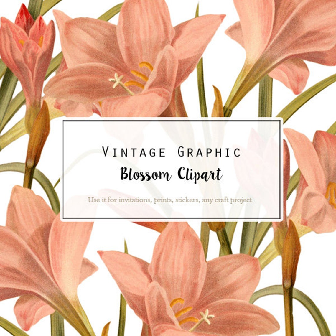 Vintage Flower Clipart Pink Floral Clip Art for Wedding | Etsy