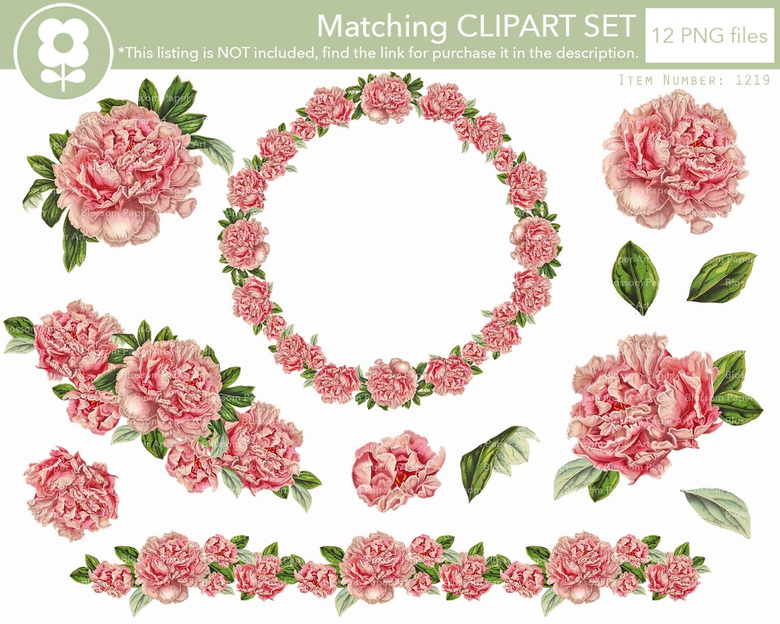 Peony Digital Paper Pink Floral Digital Paper Pack Pink - Etsy