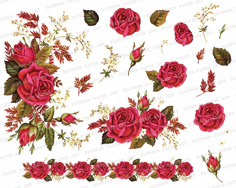 Vintage Red Rose Clipart Set Rose Digital Clipart - Etsy