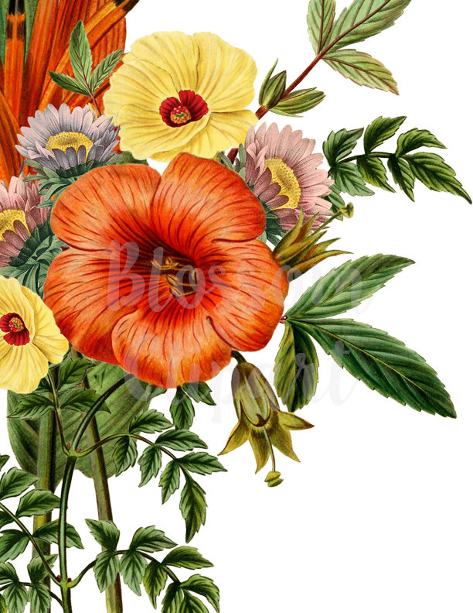 Florals Clip Art Floral PNG Digital Download for | Etsy