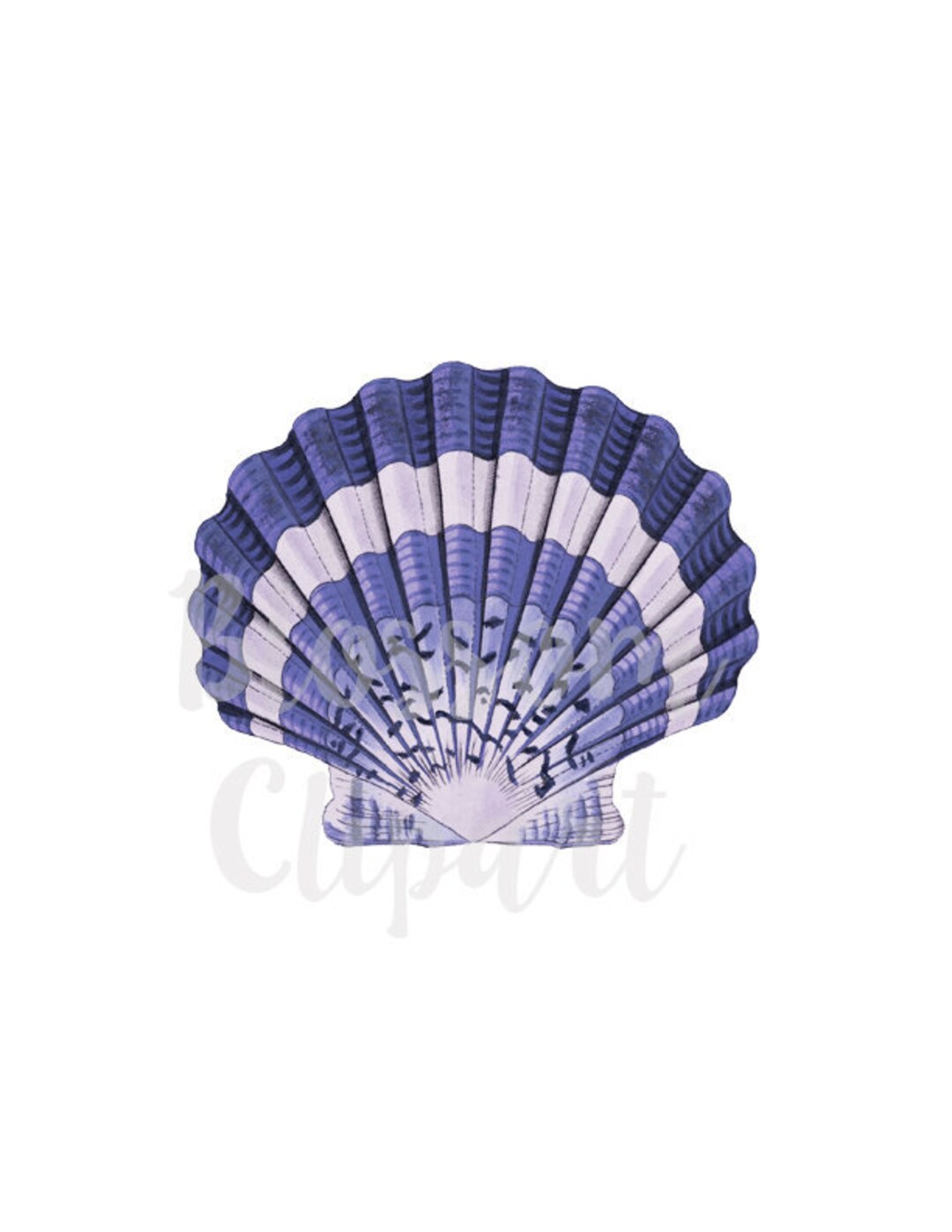 Sea Shell Clip Art Vintage Printable Sea Life Clipart for Collage ...