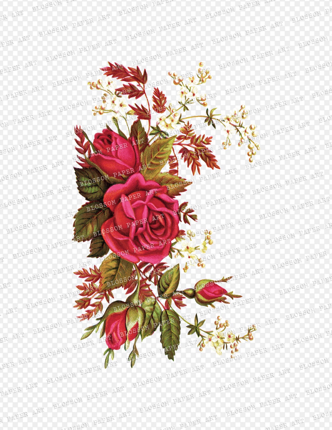 Vintage Red Rose Clipart Set Rose Digital Clipart - Etsy