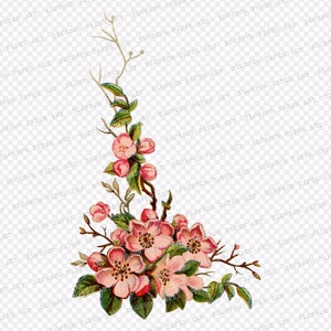 Blossom Flower Clipart Set Transparent Background Flowers - Etsy