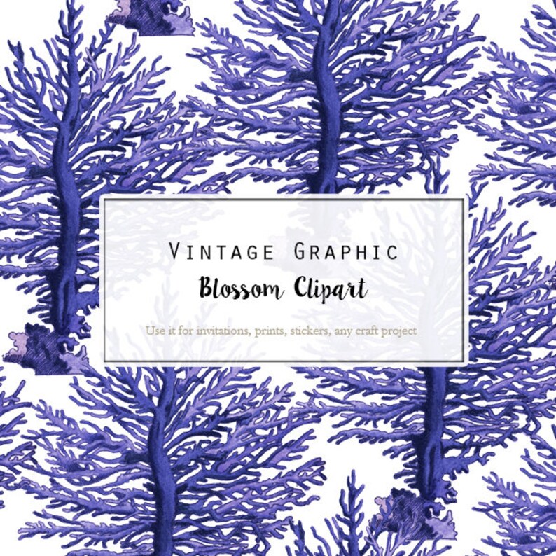 Coral Clip Art Vintage Sea Life Clipart for Digital Artwork - Etsy