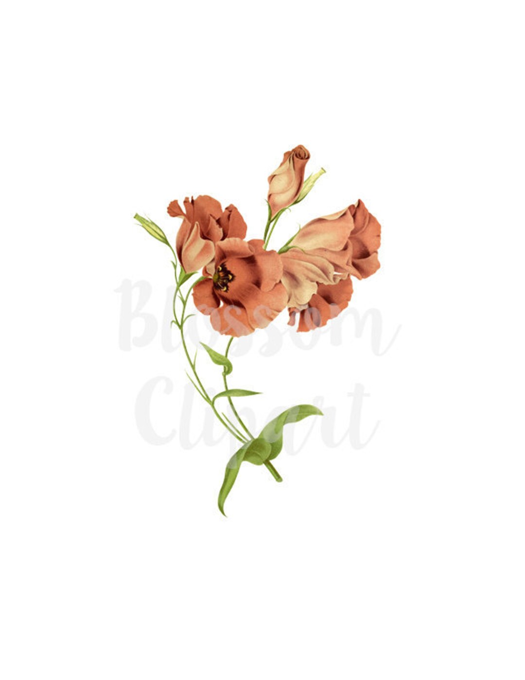 Contrived Clipart Flower