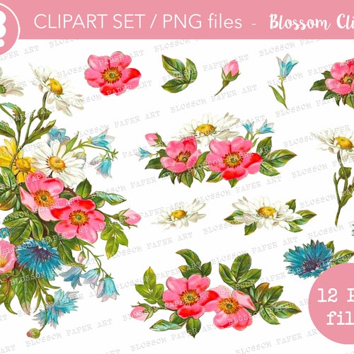 Floral Clipart Set Vintage Blue Flowers PNG Digital Floral - Etsy