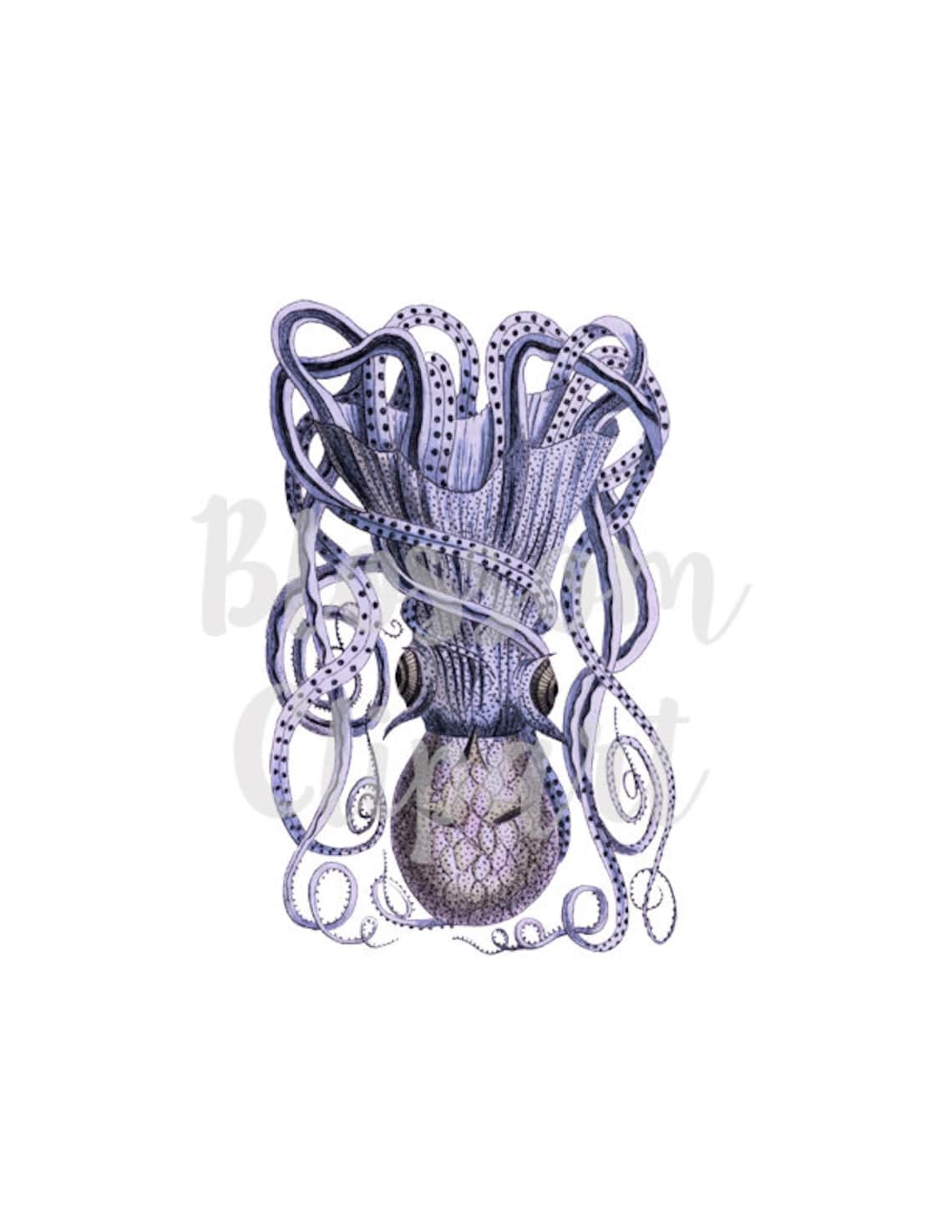 Octopus Clip Art Vintage Graphic Clipart Illustration Digital | Etsy