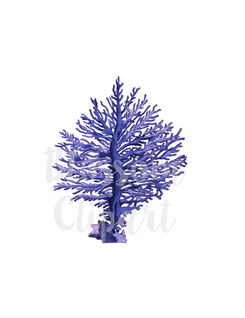 Coral Clip Art Vintage Sea Life Clipart for Digital Artwork - Etsy