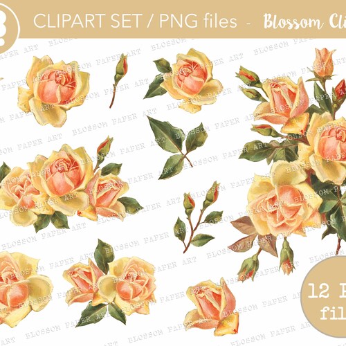 Vintage Floral Svg Digital Roses Clipart Vintage Flower PNG - Etsy
