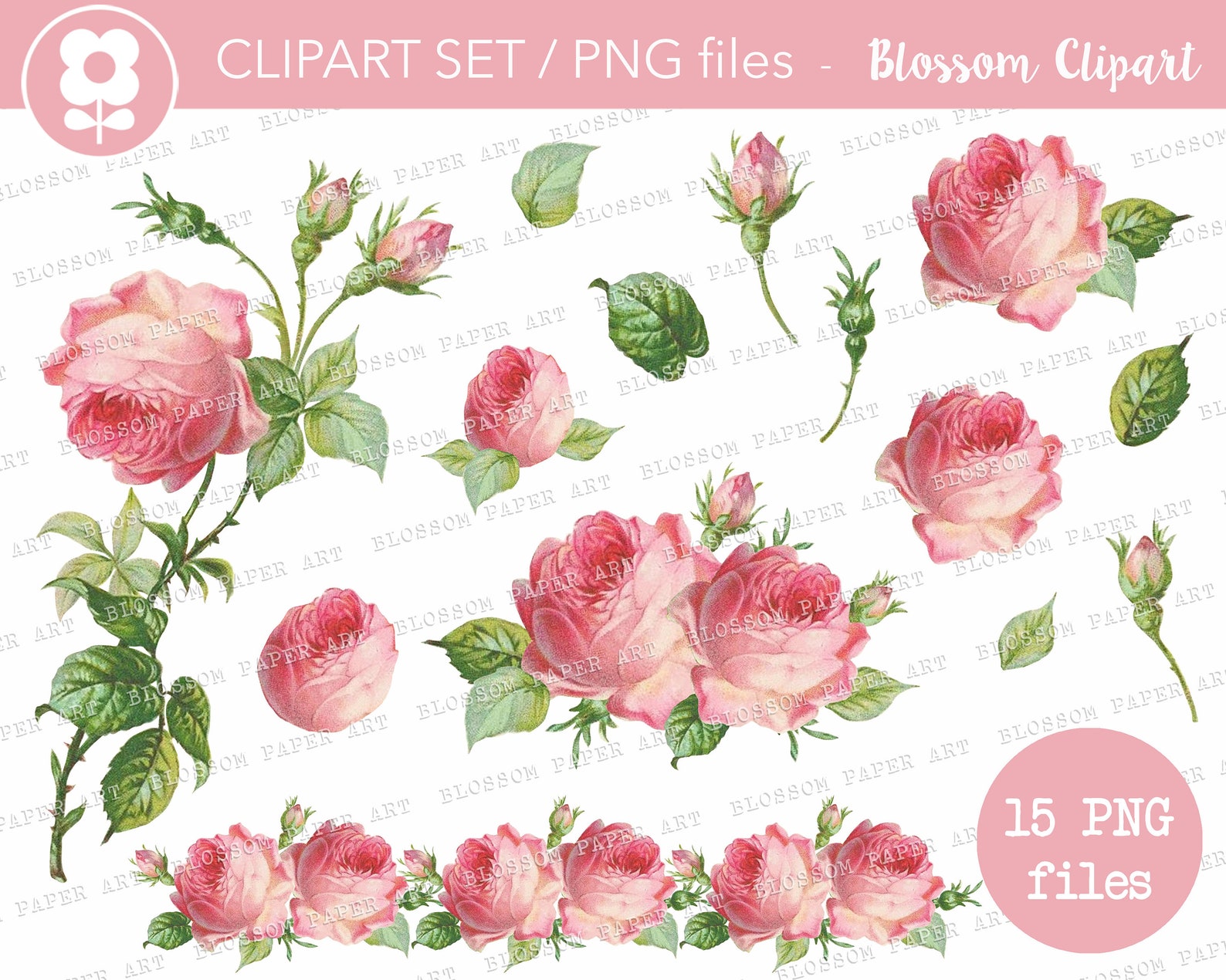 Pink Rose Clipart Set Vintage Rose PNG Digital Roses - Etsy