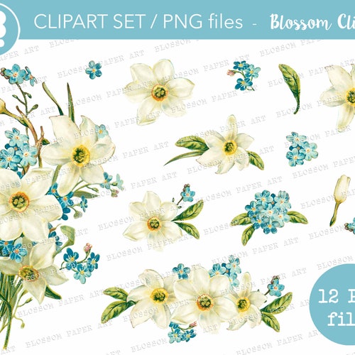 Floral Clipart Set Vintage Blue Flowers PNG Digital Floral - Etsy