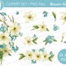 Floral Clipart Set, Vintage Blue Flowers PNG, Digital Floral Clipart ...